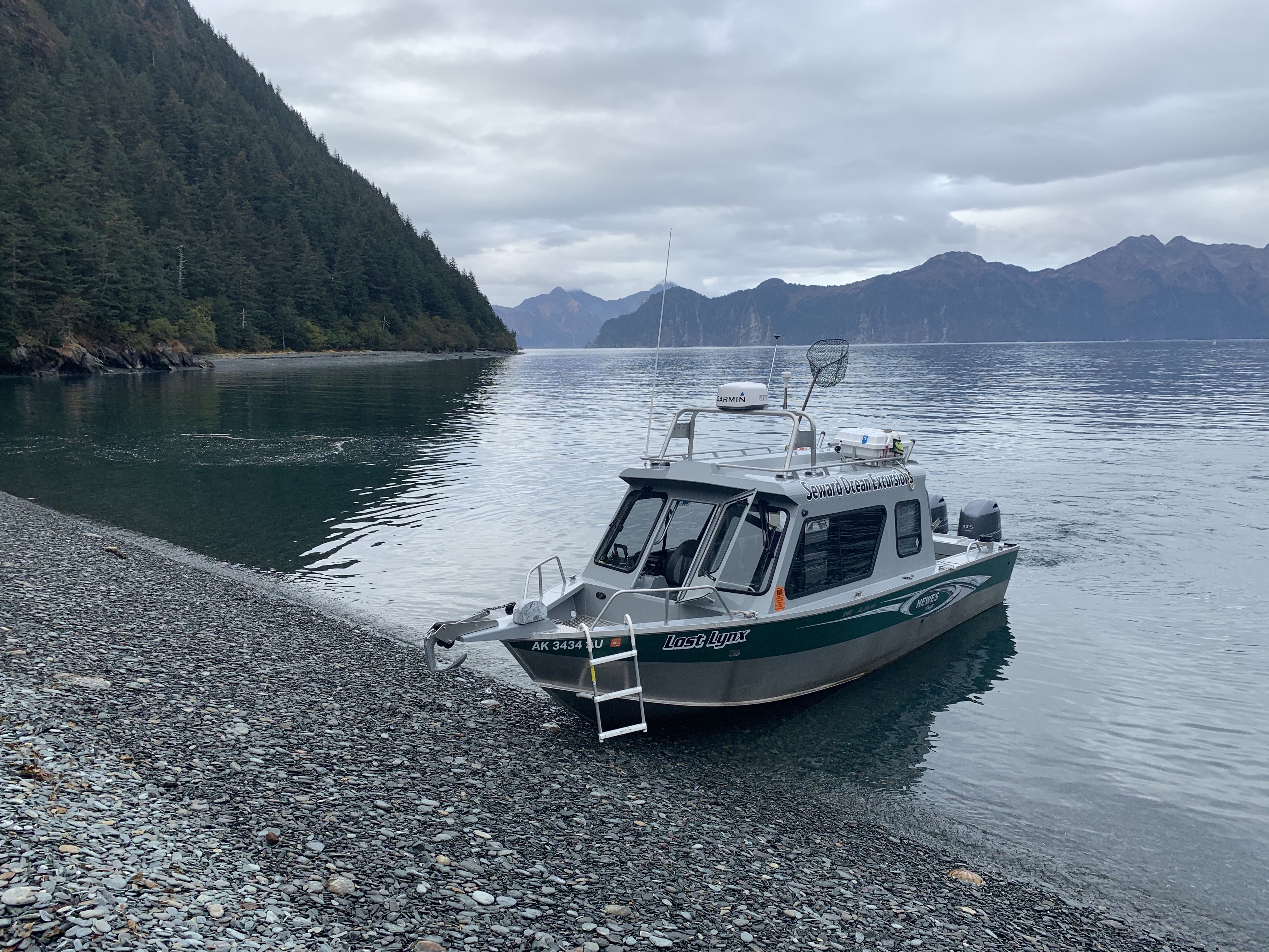 Beaching – Seward Ocean Excursions